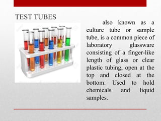The scientific method | PPT