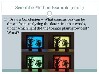 The scientific method academy | PPT