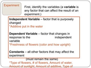 The scientific method gr 6 | PPTX