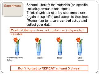 The scientific method gr 6 | PPTX