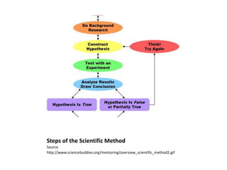The Scientific Method Power Point | PPTX