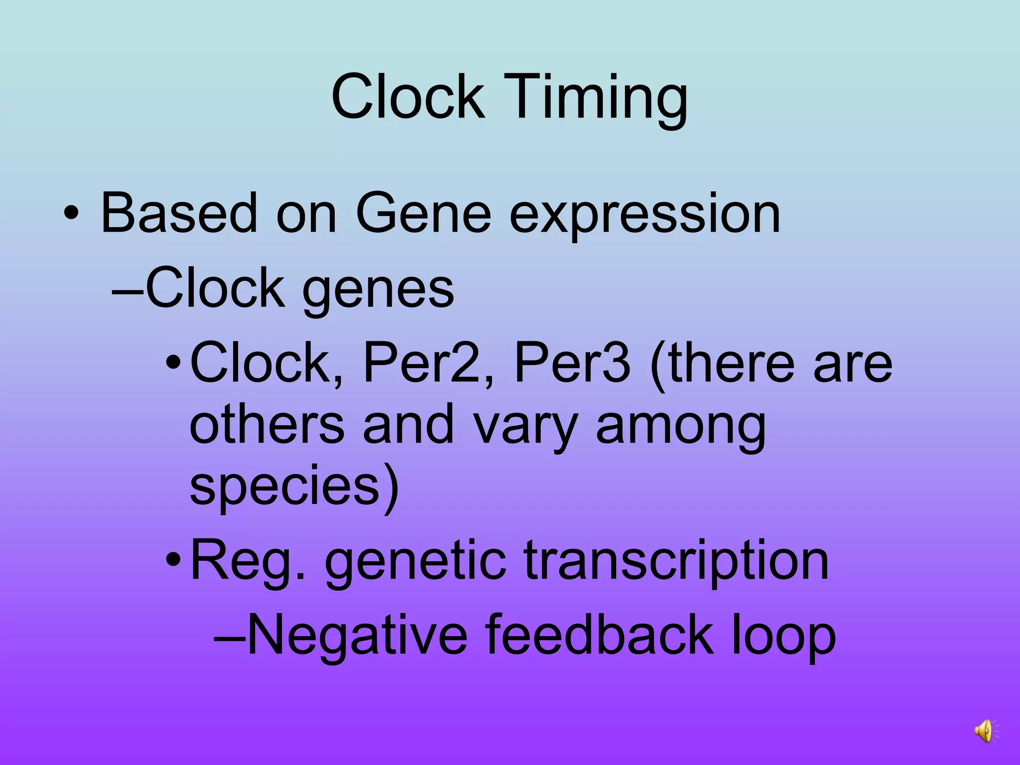 The Scn V Final | PPSX