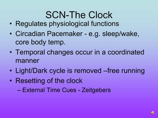 The Scn V Final | PPSX