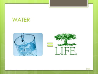 The scope of environmental problem | PPTX