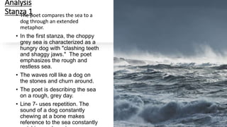 The Sea.powerpoint presentation for learners. | PPTX