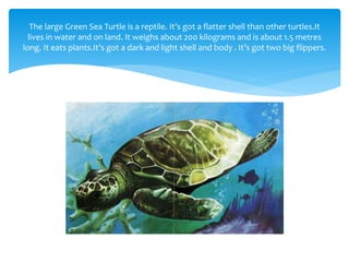 The sea animals | PPT