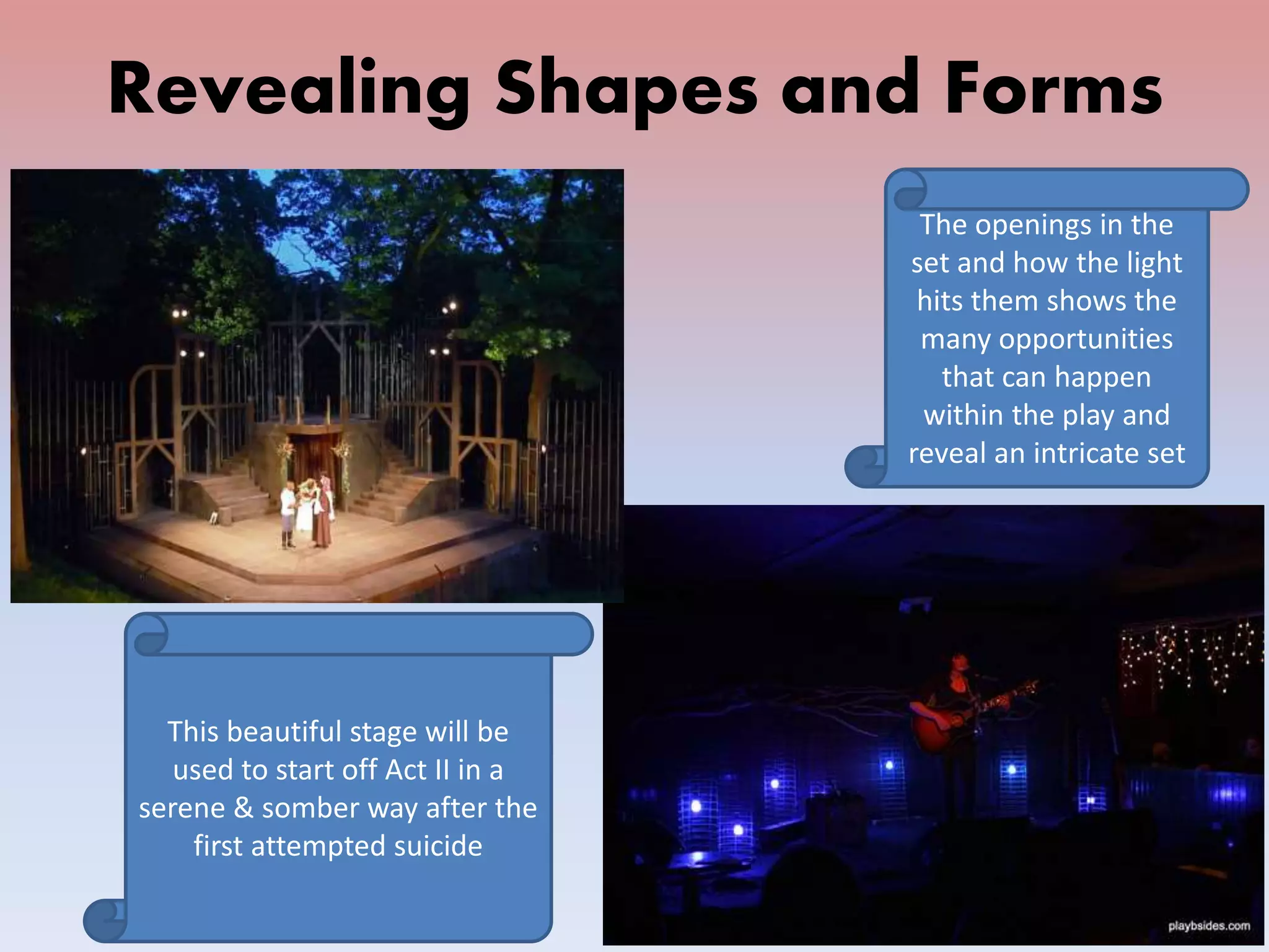 The seagull ppt | PPTX