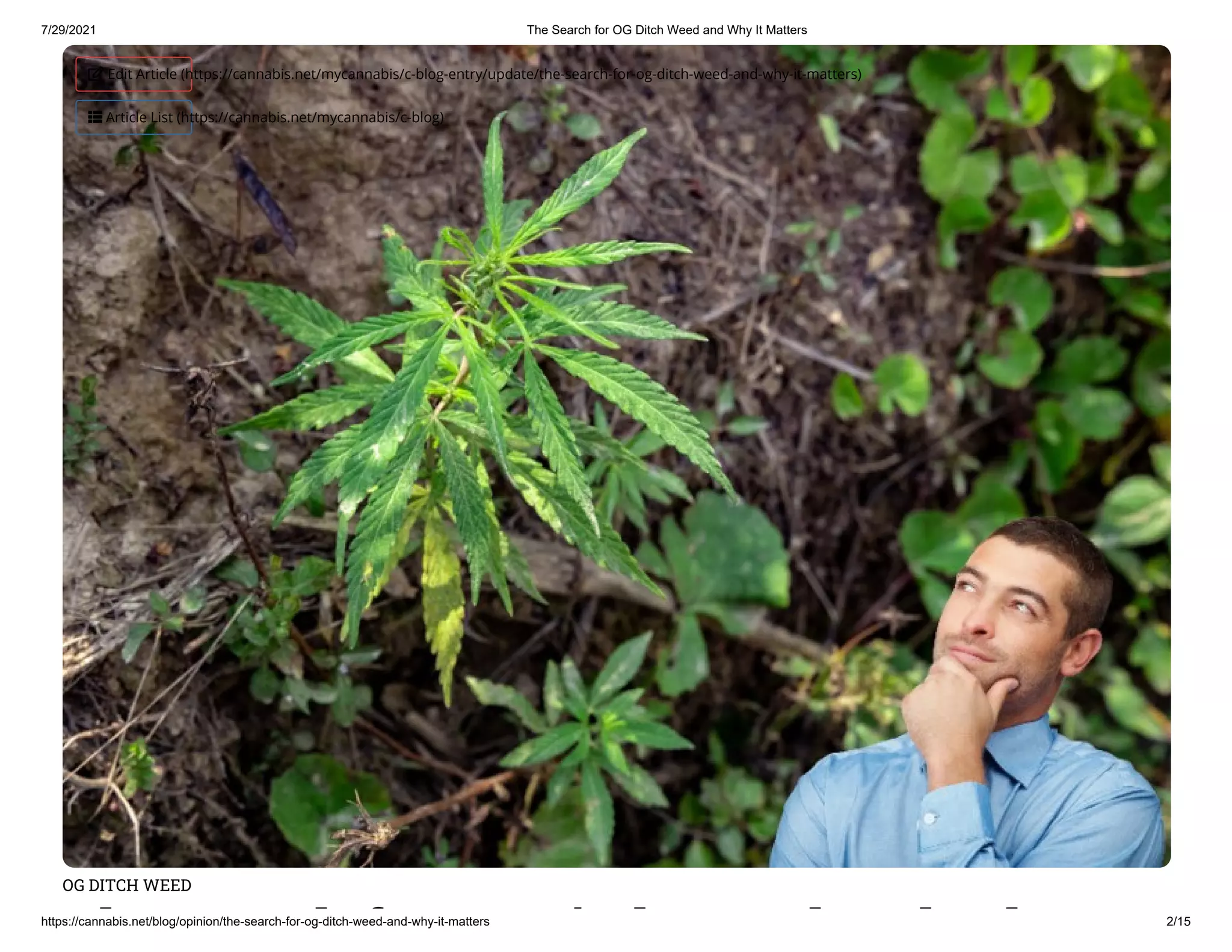 What is OG Ditch Weed? | PDF