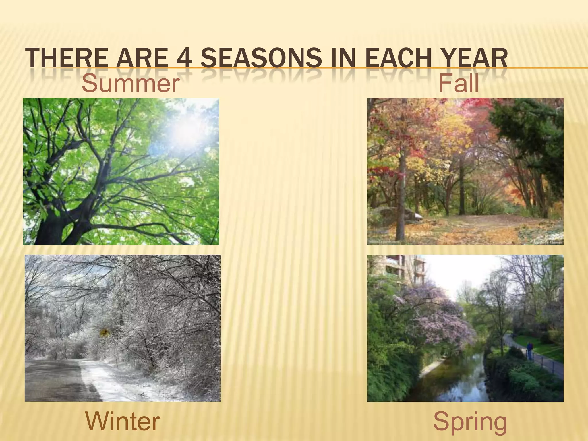 The Seasons Of The Year | PPTX