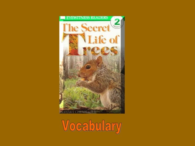 The Secret Life Of Trees | PPT | Weather | Science