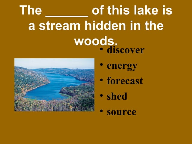 The Secret Life Of Trees | PPT | Weather | Science