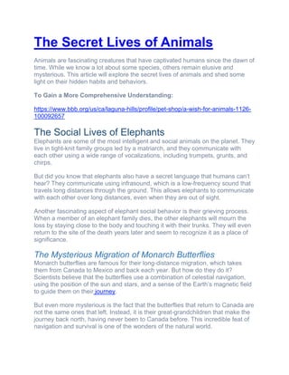 The Secret Lives of Animals.pdf