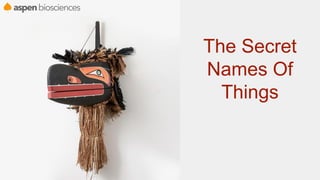 The Secret Names Of Things.pdf