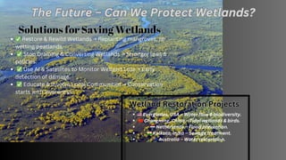 The Secret Role of Wetlands in Fighting Climate Change.pdf