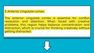 The sections of the brain involved in creativity..pptx | Brain and ...