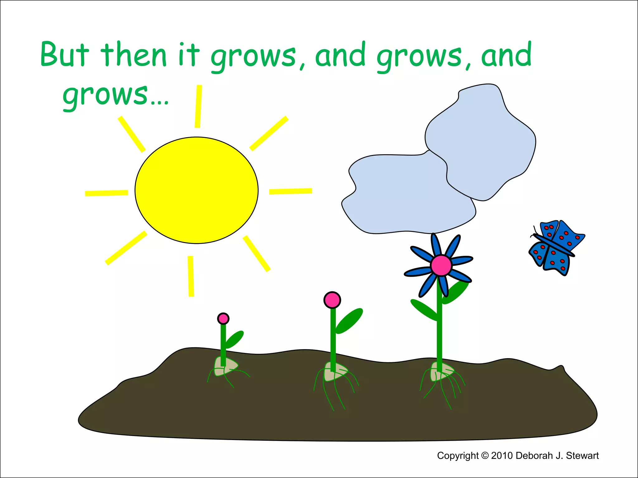The seed grows | PPTX