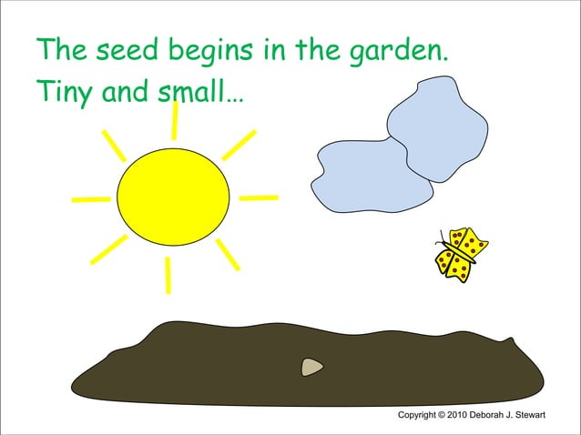 The seed grows | PPTX
