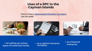 The Segregated Portfolio Company in the Cayman Islands | PPT | Free ...