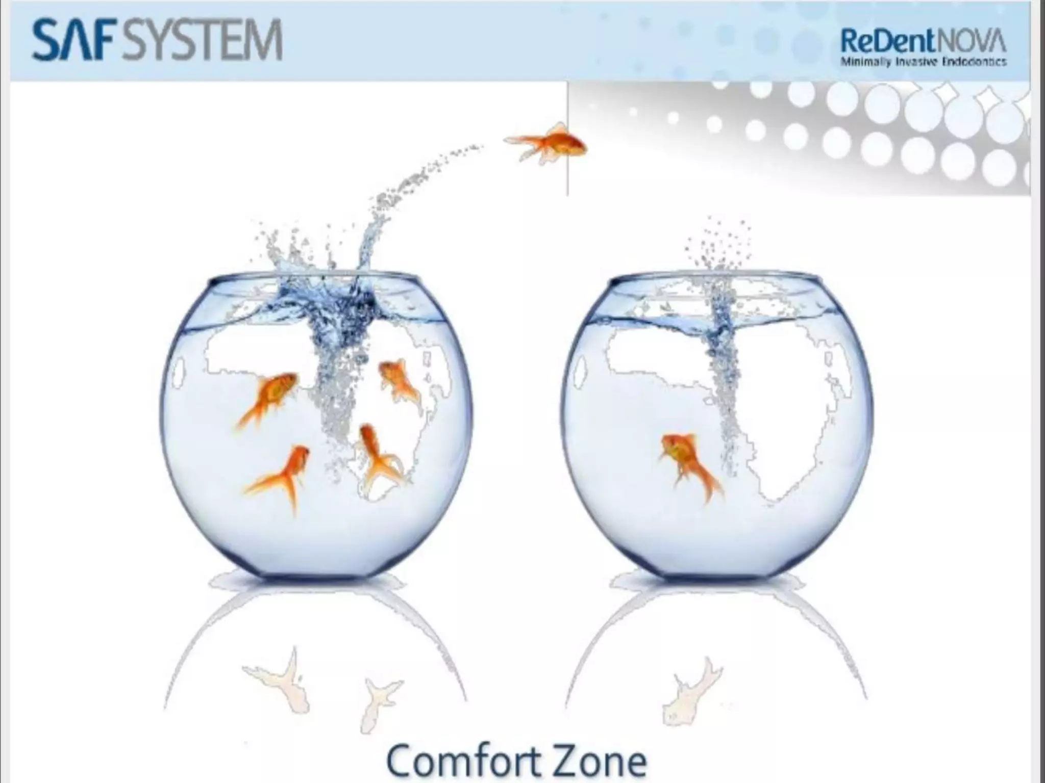 The self adjusting file system / Dr.sarah alkhateeb | PPTX