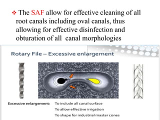 The self adjusting file system / Dr.sarah alkhateeb | PPTX