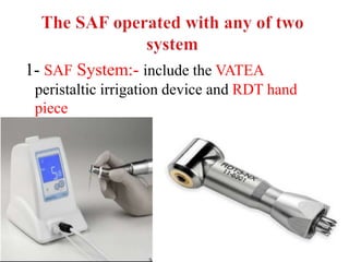 The self adjusting file system / Dr.sarah alkhateeb | PPTX