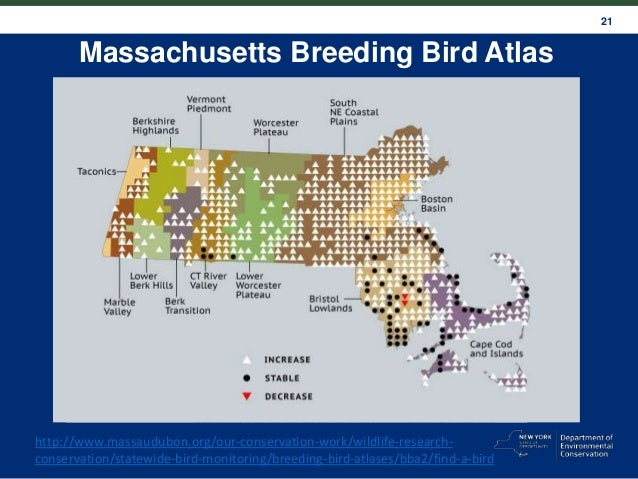These maps are for the birds