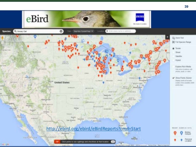 These maps are for the birds