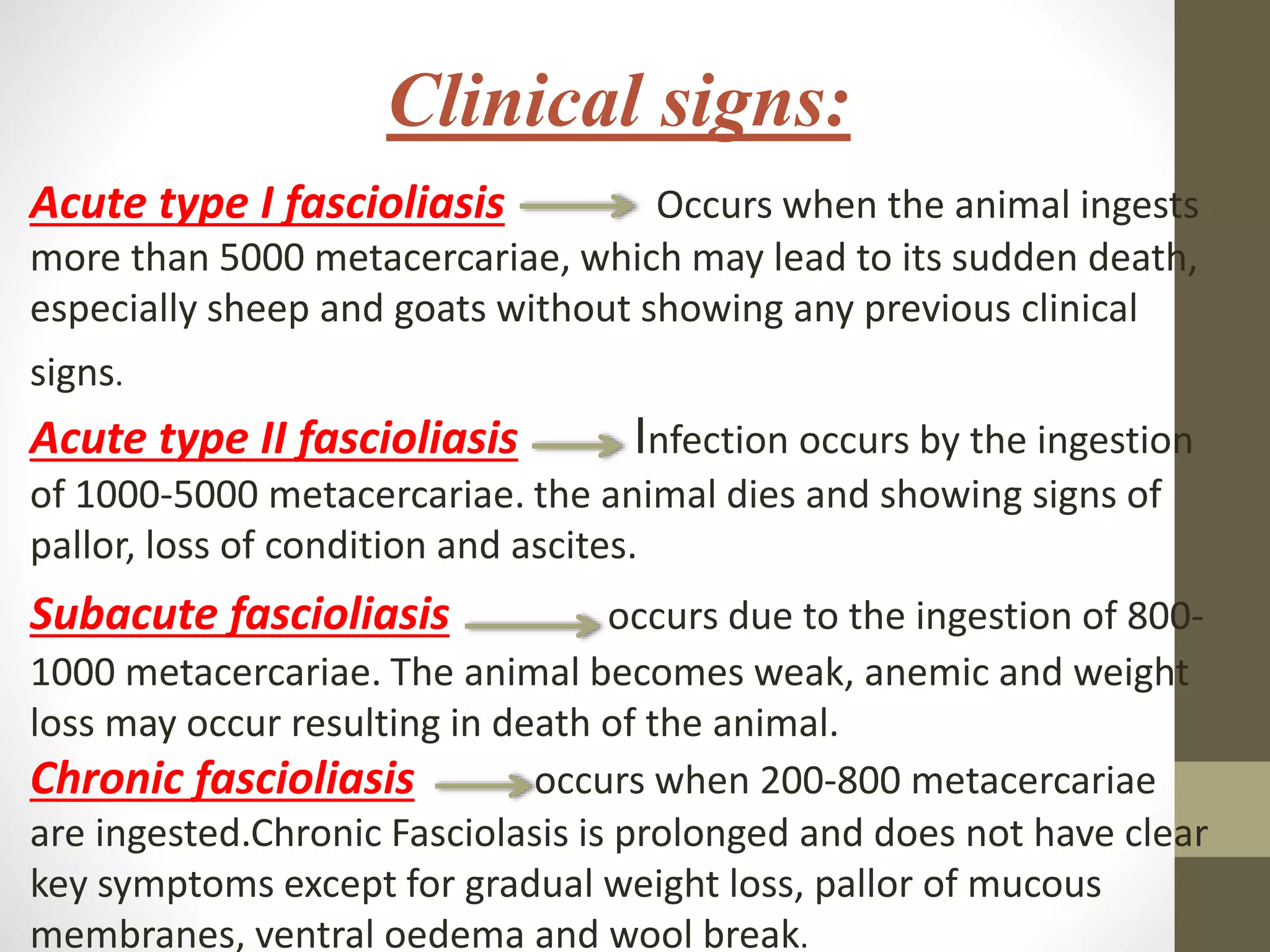fascioliosis and bacterial secondary contamination ppt | PPTX