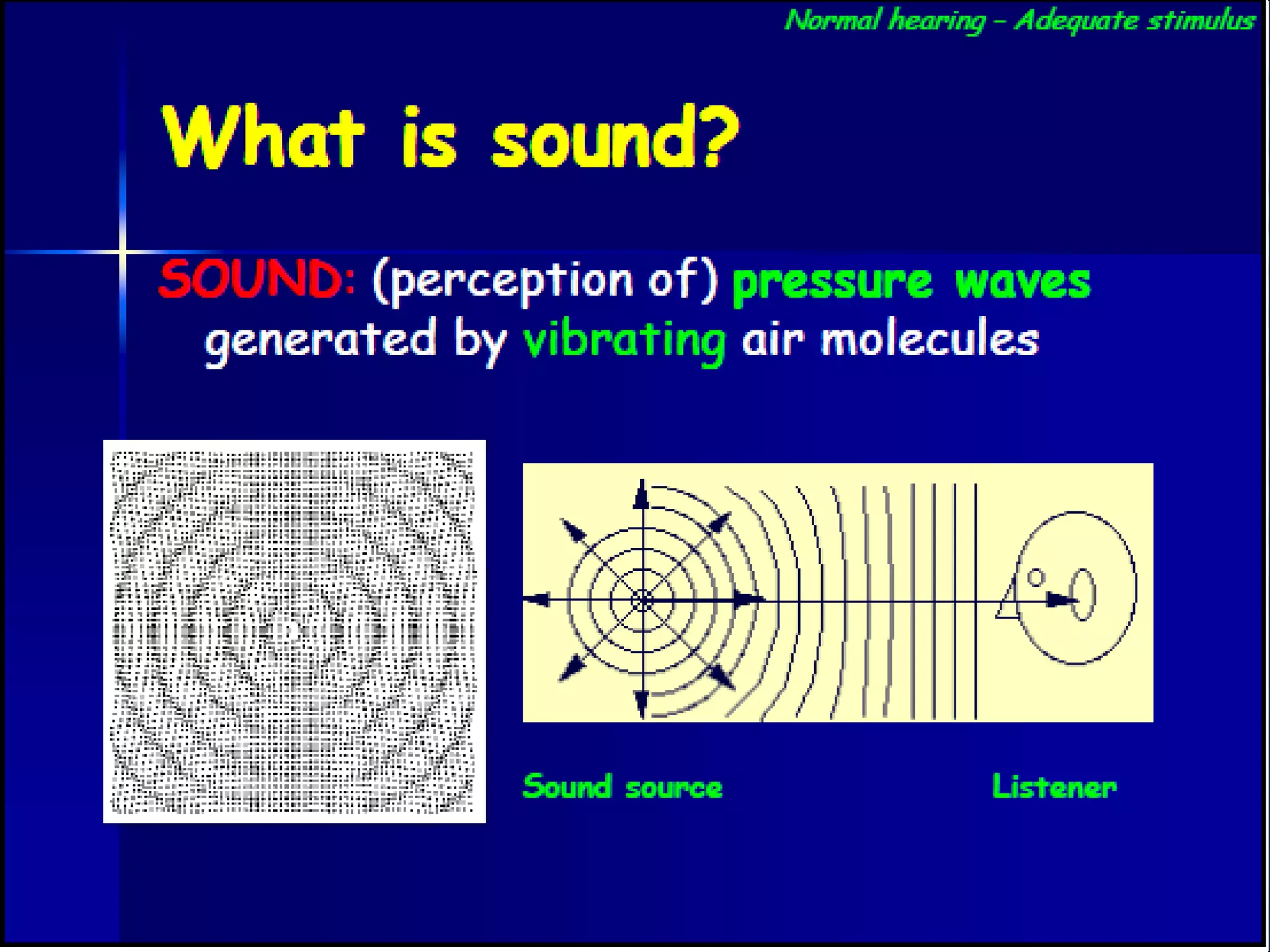 The sense of hearing | PPT