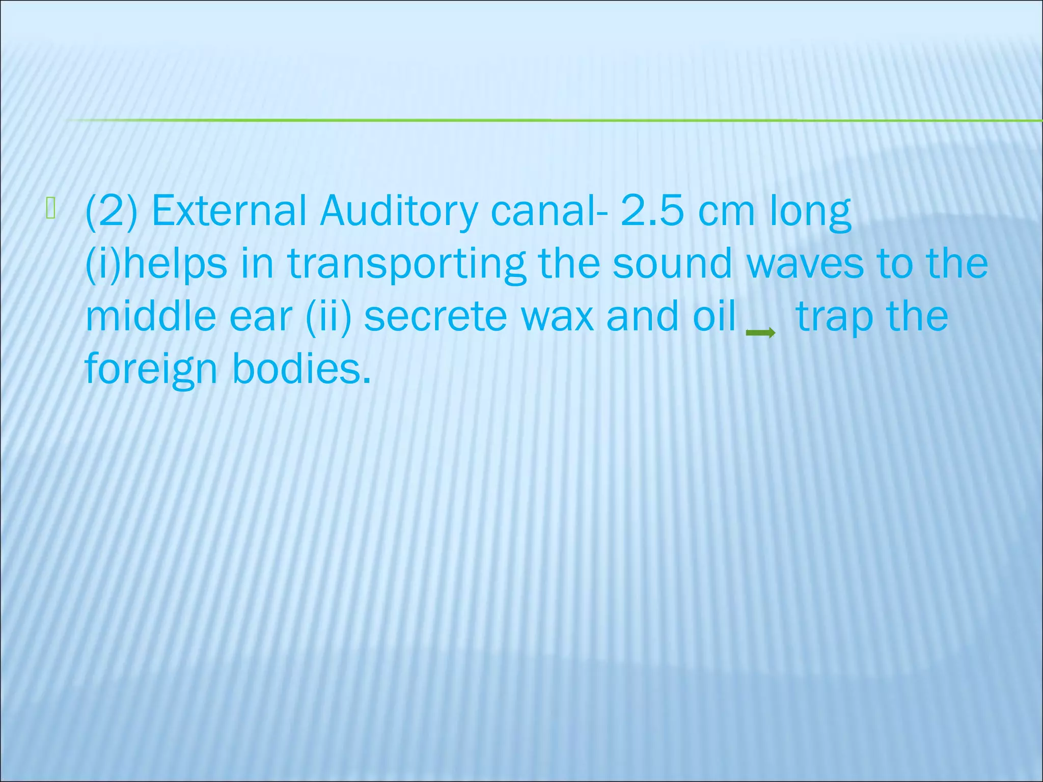 The sense of hearing | PPT