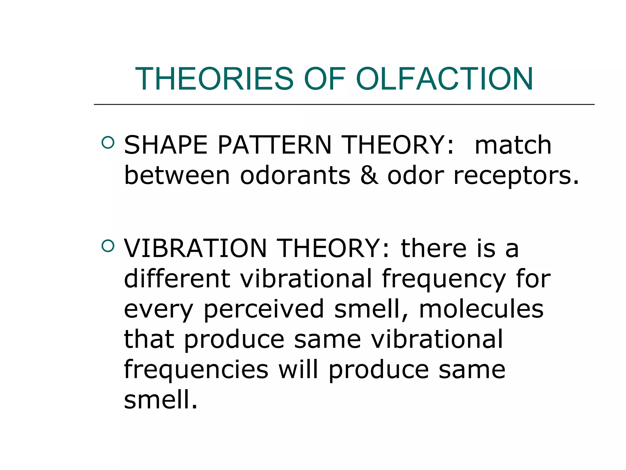 Anatomy & Physiology Of Olfactory System | PPT