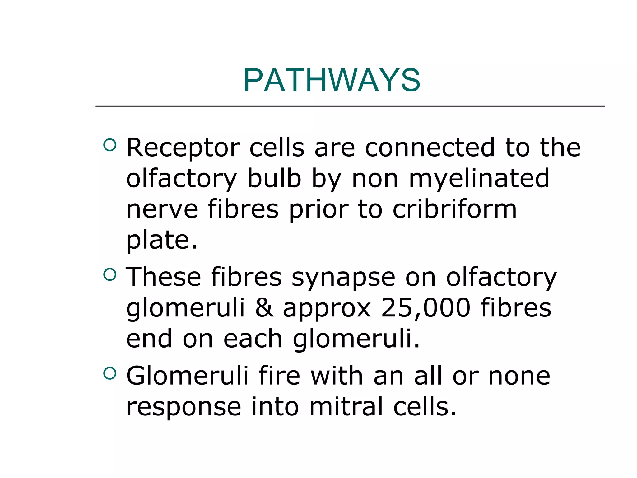 Anatomy & Physiology Of Olfactory System | PPT