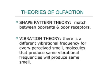 Anatomy & Physiology Of Olfactory System | PPT