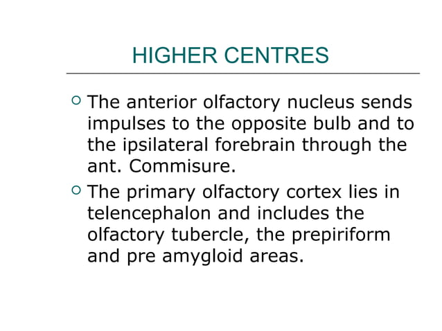 Anatomy & Physiology Of Olfactory System | PPT | Ear, Nose and Throat Conditions | Diseases and ...