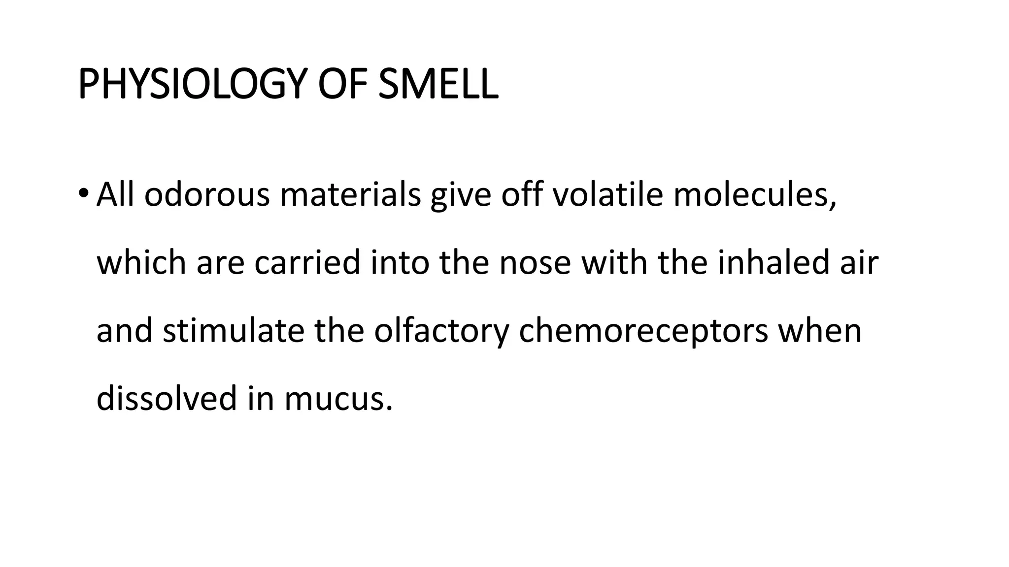 The sense of smell | PDF
