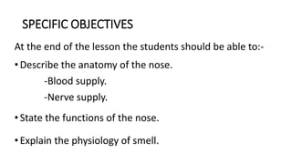 The sense of smell | PDF