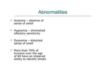 The sense of smell ppt | PPT