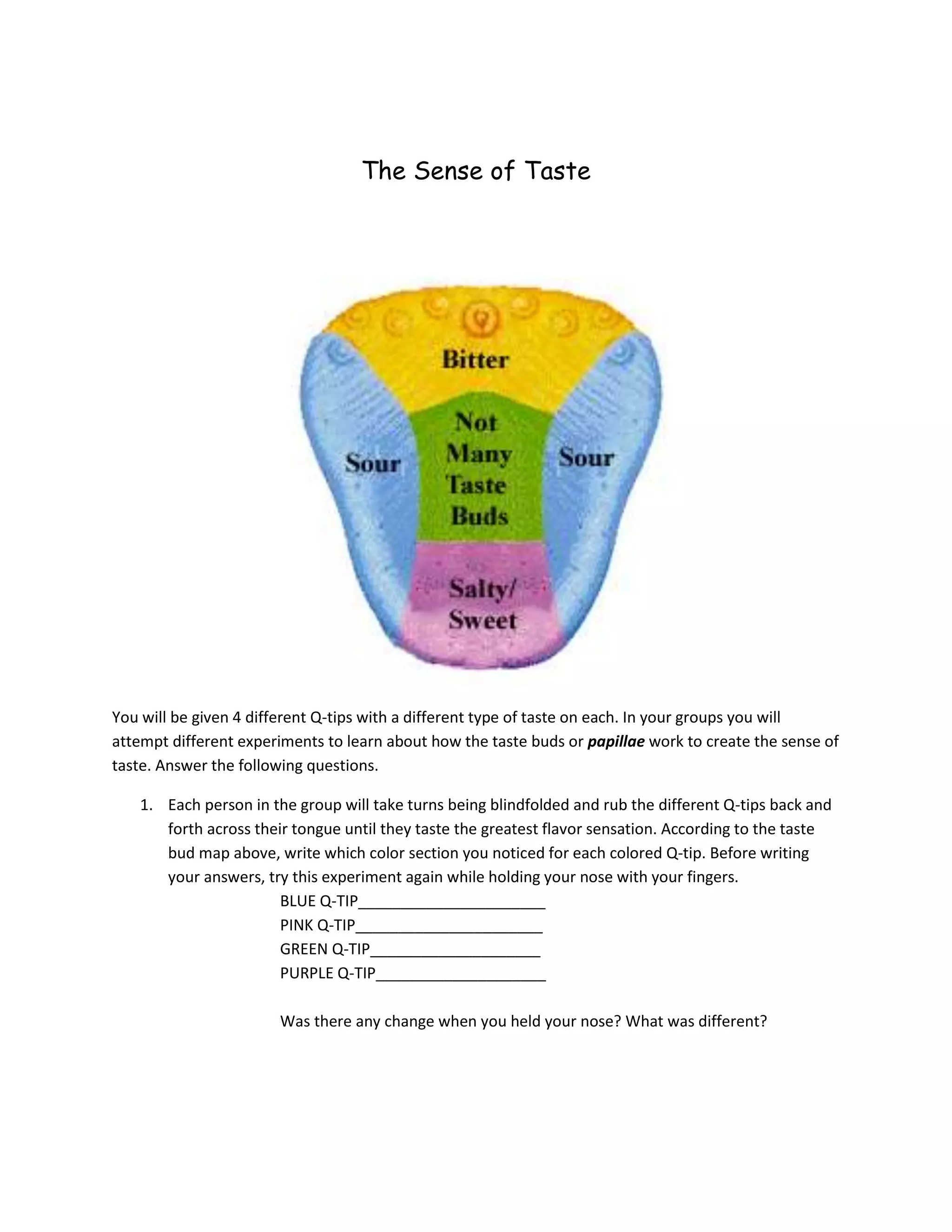 The sense of taste | DOCX