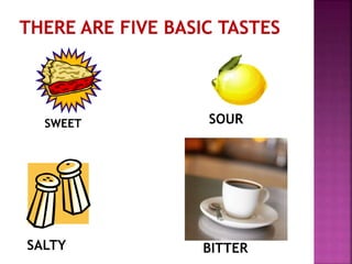 1st Grade - the sense of taste | PPTX