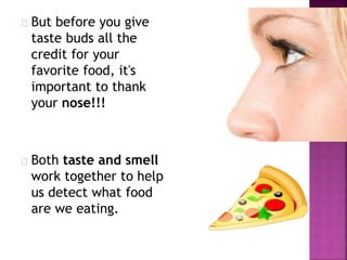 1st Grade - the sense of taste | PPTX