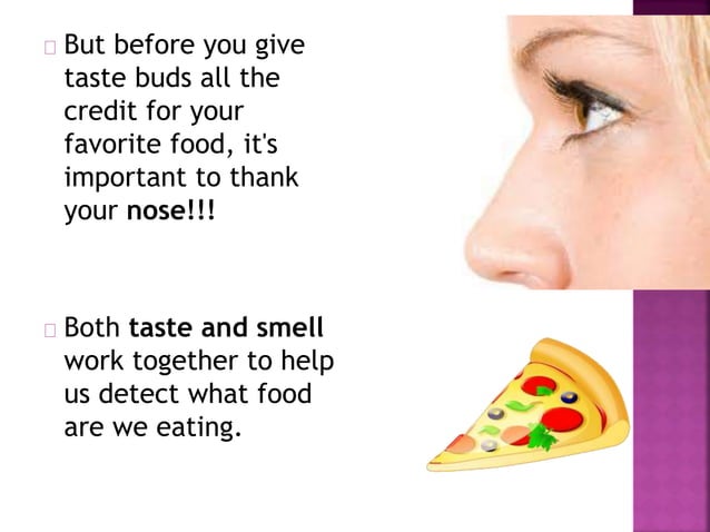 1st Grade - the sense of taste | PPT