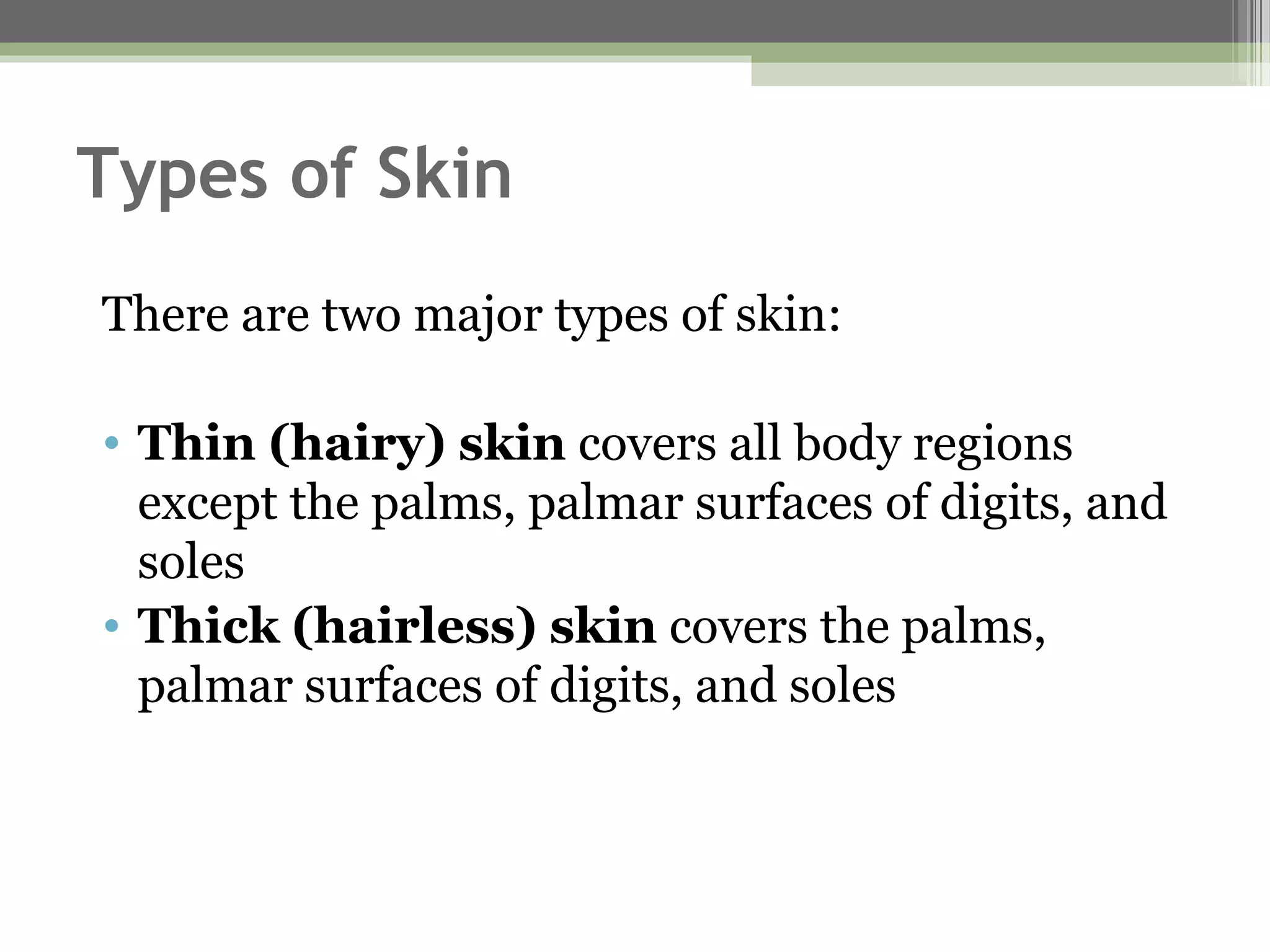 The sense of touch, pain & temperature | PPT