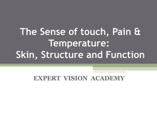 The sense of touch, pain & temperature | PPT