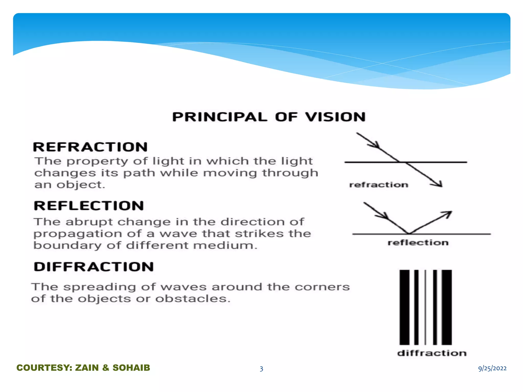 The sense of vision-1.pptx