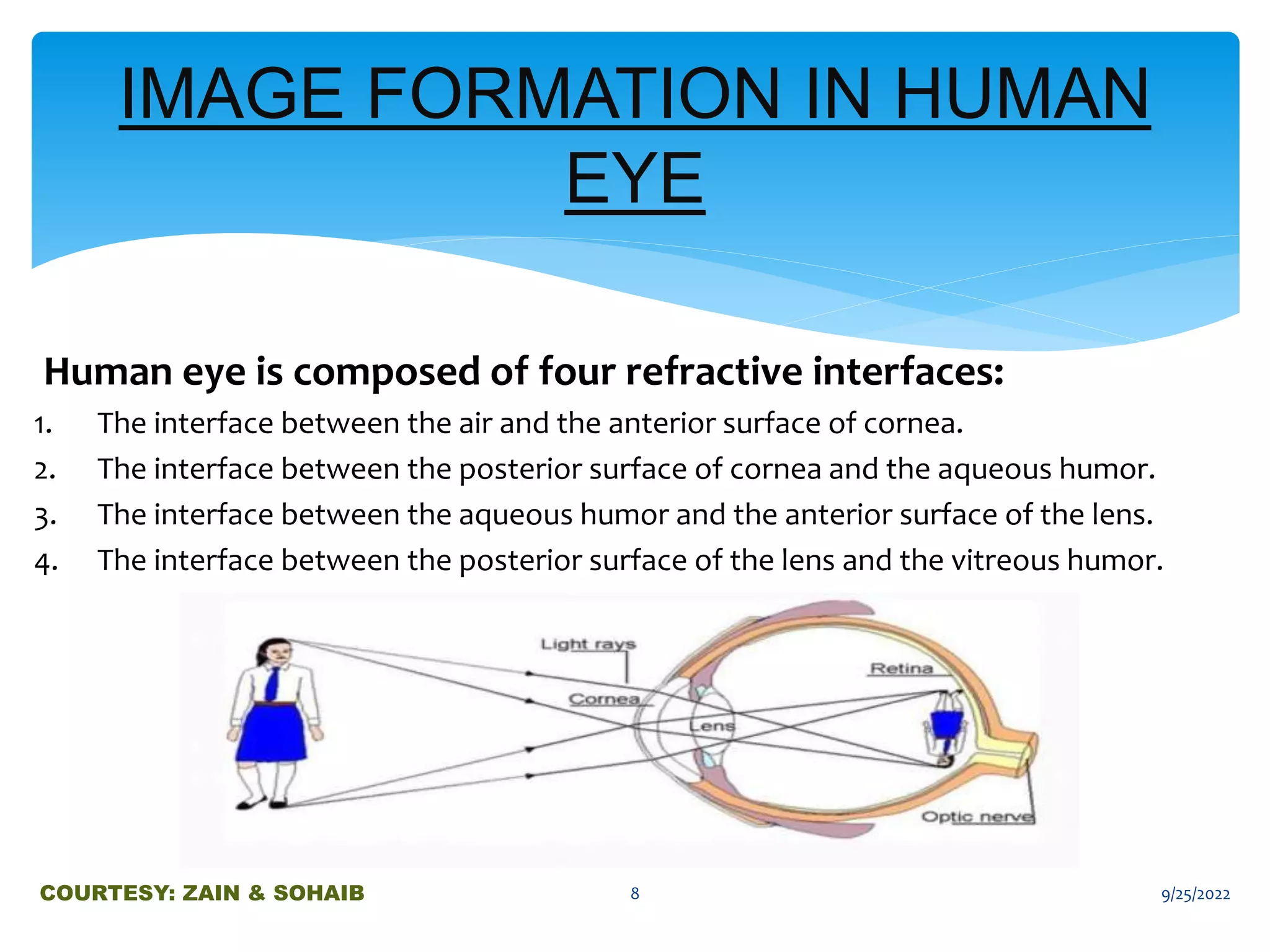The sense of vision-1.pptx