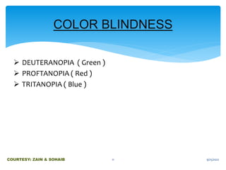 The sense of vision-1.pptx