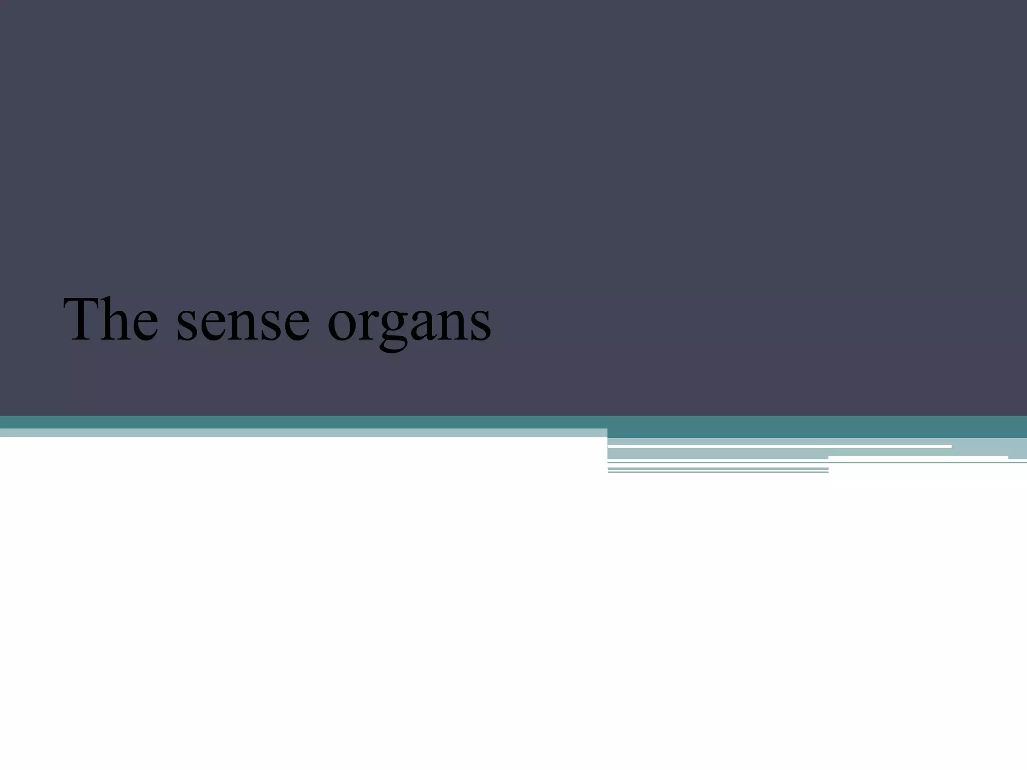 The sense organs | PPTX