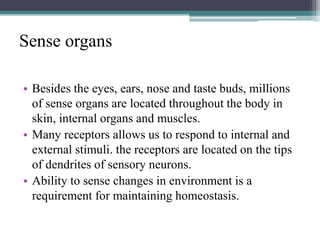 The sense organs | PPTX