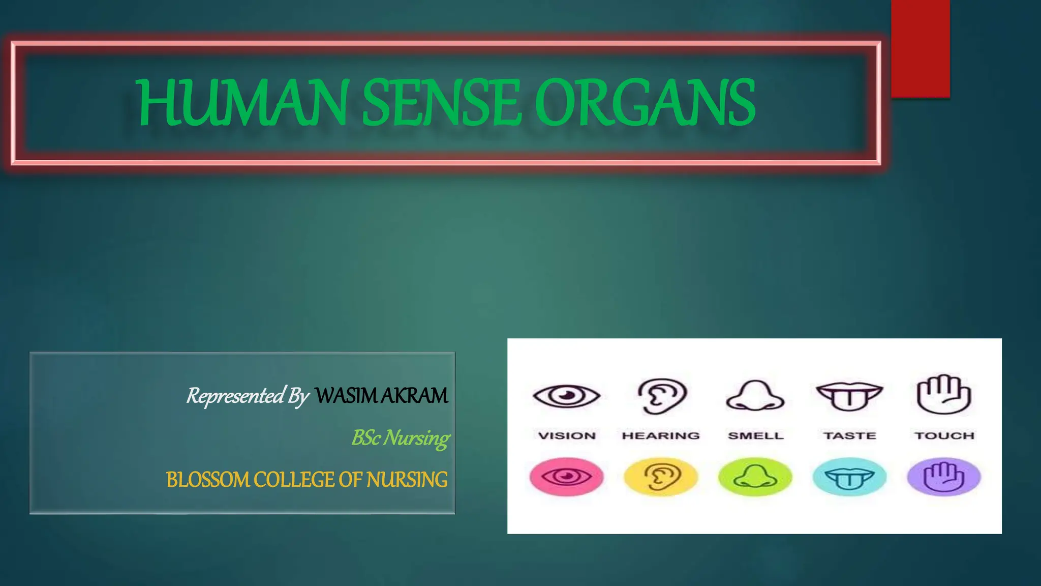THE SENSE ORGANS - EAR & EYE/ INNER EAR/EYE BALL/ COCHLEA | PPT