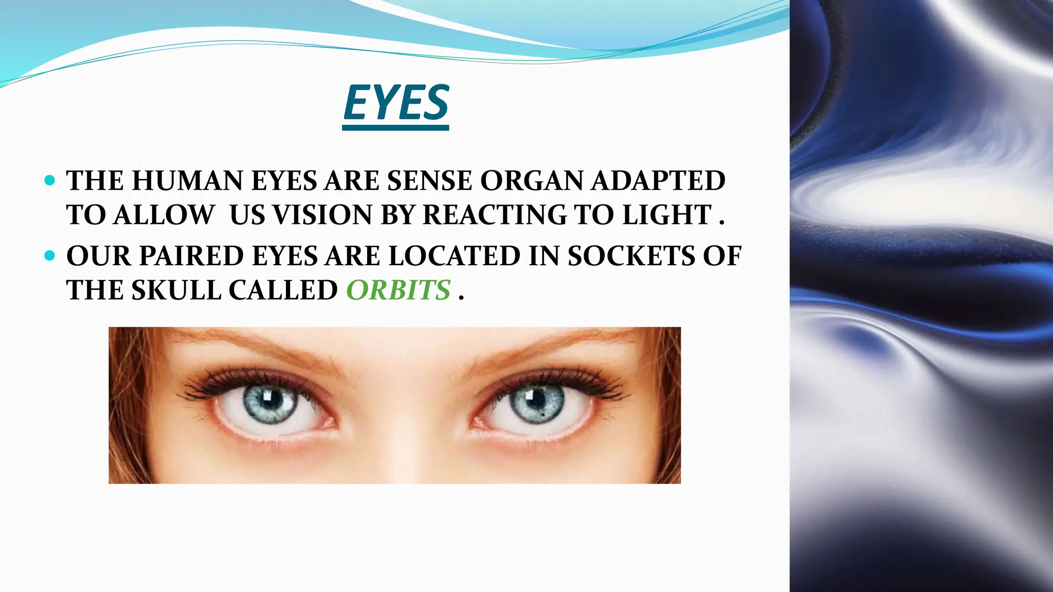 THE SENSE ORGANS - EAR & EYE/ INNER EAR/EYE BALL/ COCHLEA | PPT